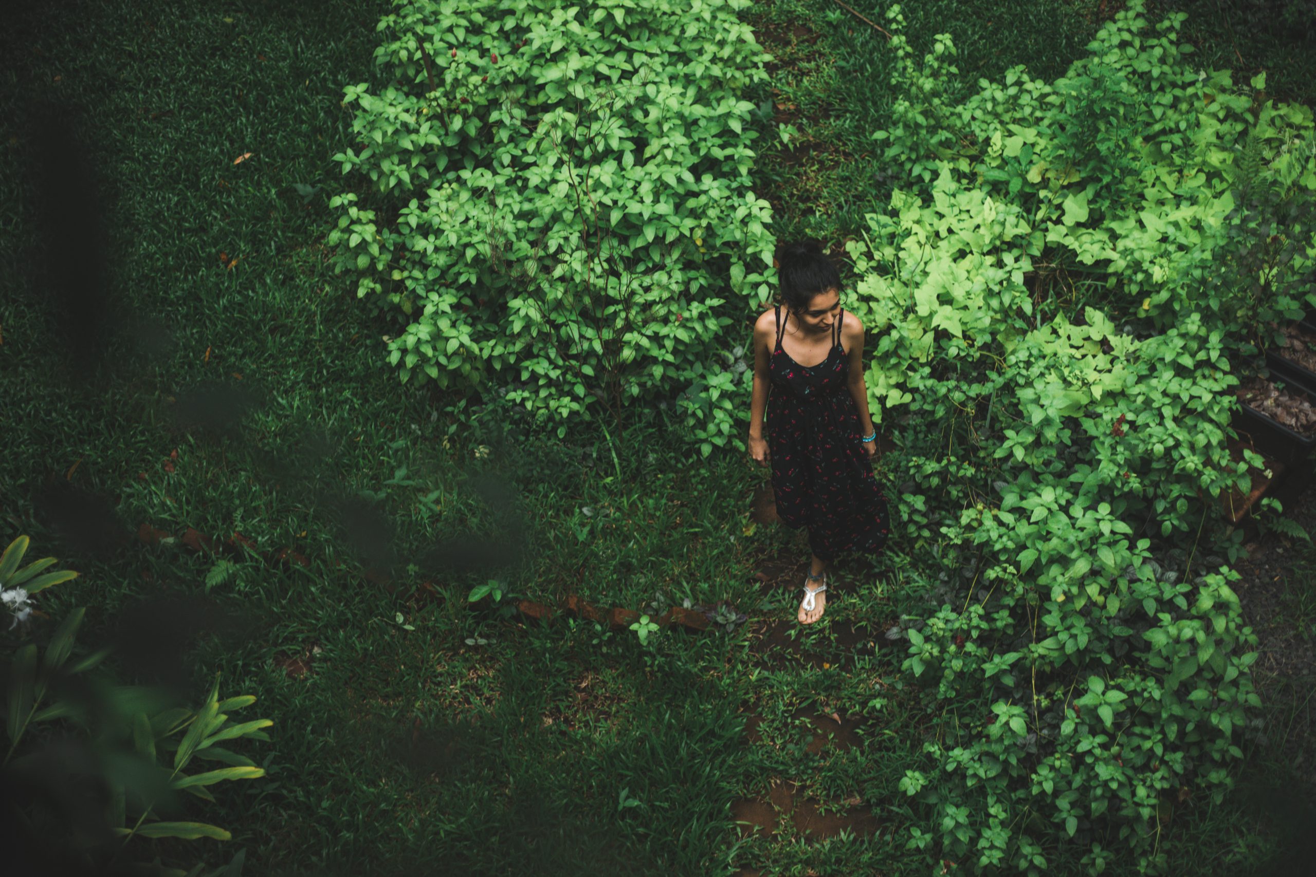 In the Media | Inner Temple